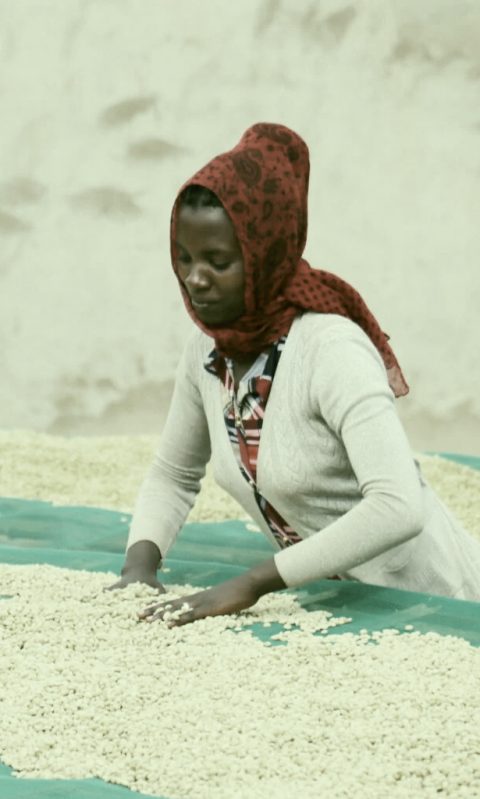 Uraga | Casino Mocca